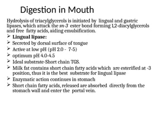 Lipids Digestion and absorption lecture.pptx