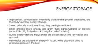 Lipids: structure, functions and health. | PPTX