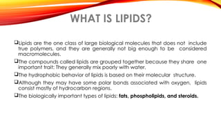 Lipids: structure, functions and health. | PPT