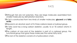 Lipids: structure, functions and health. | PPTX