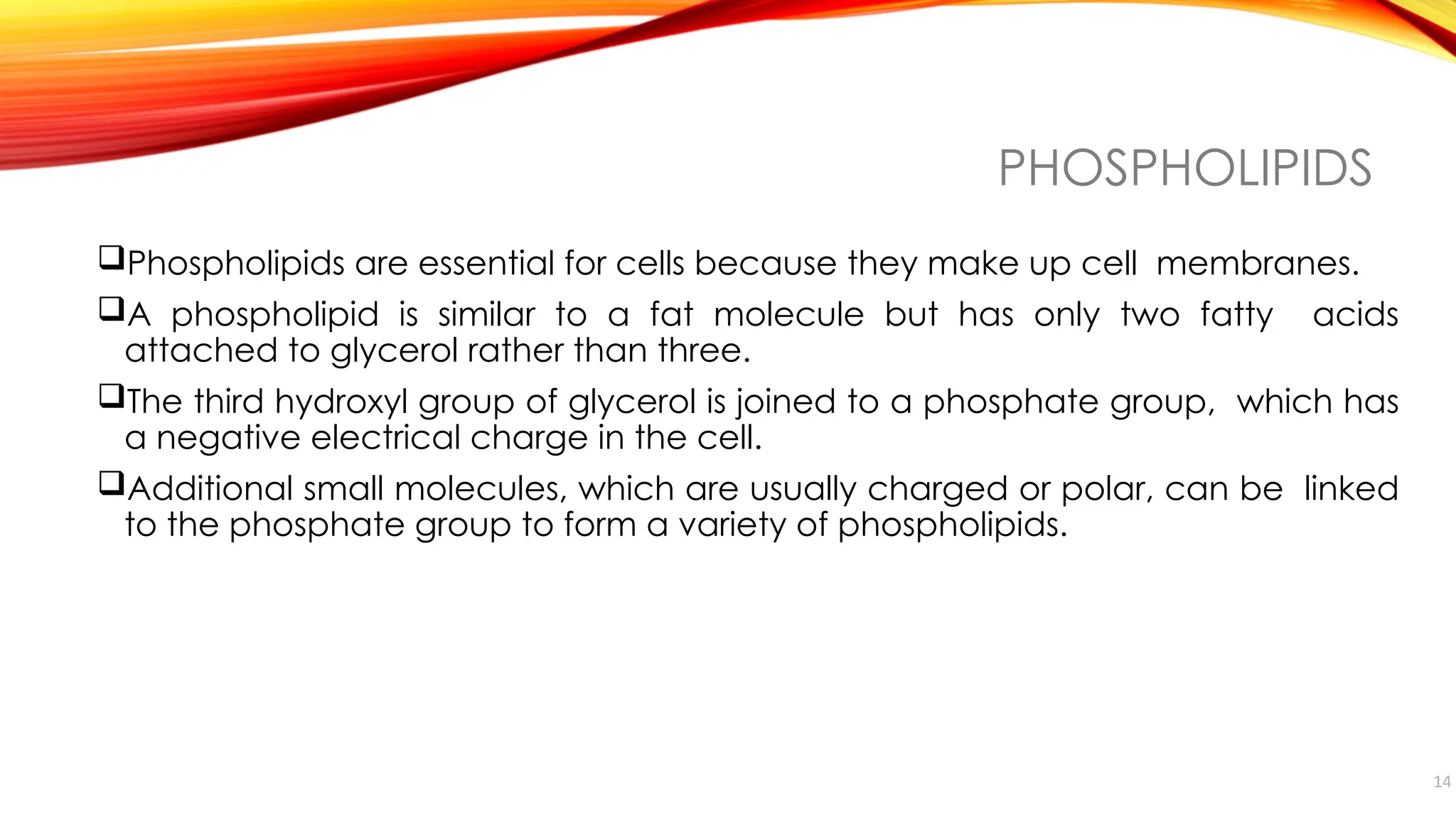 Lipid: The structure, functions and health. | PPTX