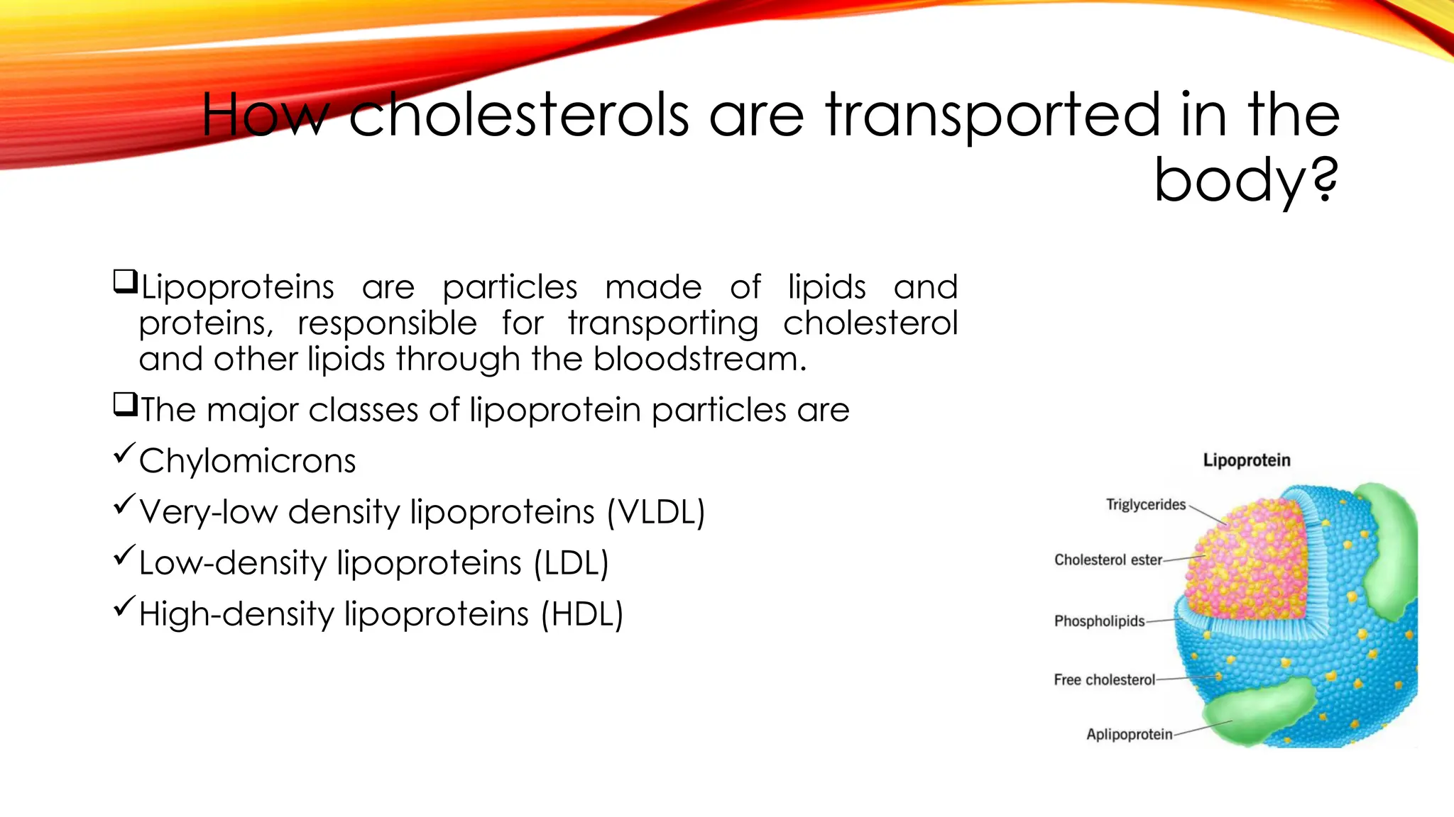 Lipid: The structure, functions and health. | PPTX