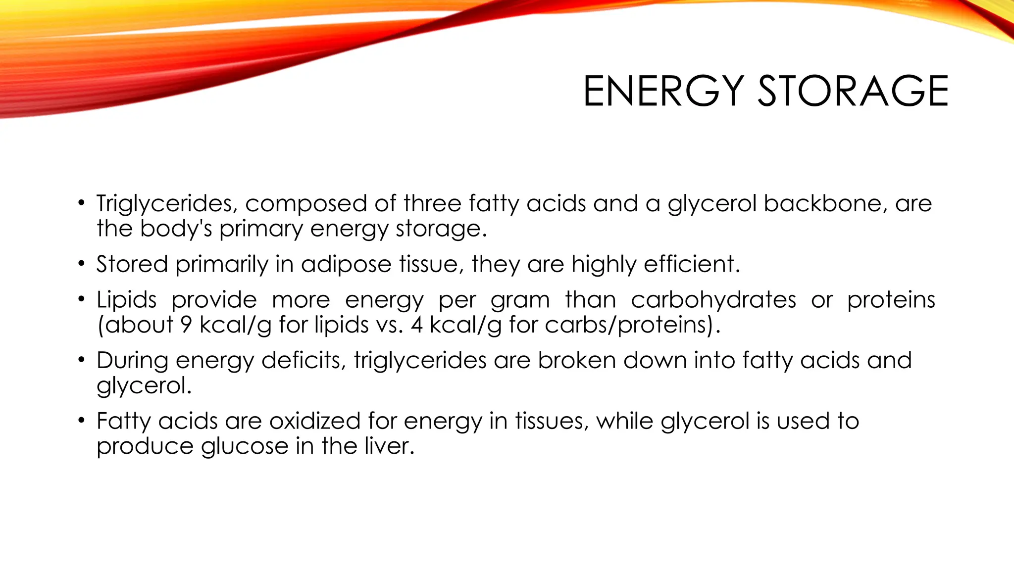 Lipid: The structure, functions and health. | PPTX