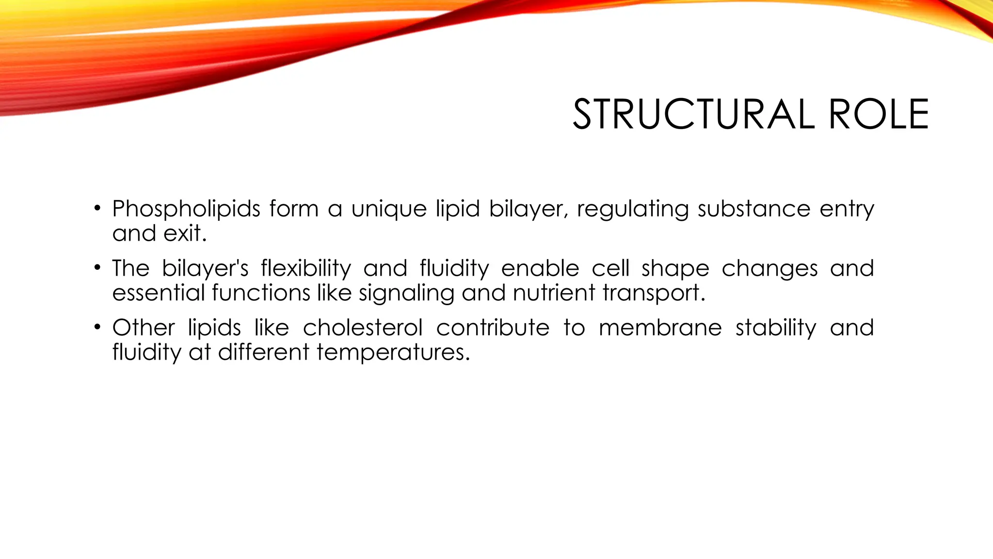 Lipid: The structure, functions and health. | PPTX