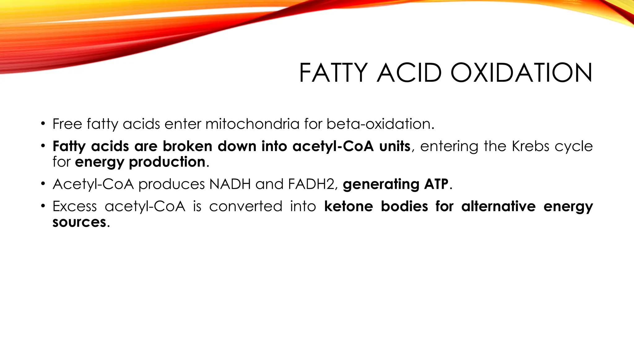 Lipid: The structure, functions and health. | PPTX