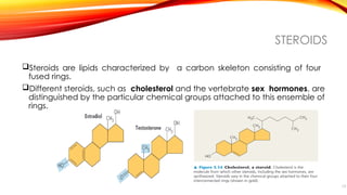 Lipid: The structure, functions and health. | PPTX