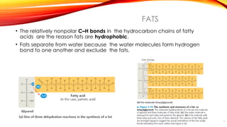 Lipid: The structure, functions and health. | PPTX