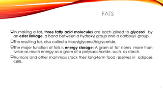 Lipid: The structure, functions and health. | PPTX