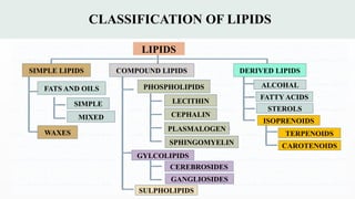 Lipids Islides help in understanding lipids deeply | PPTX