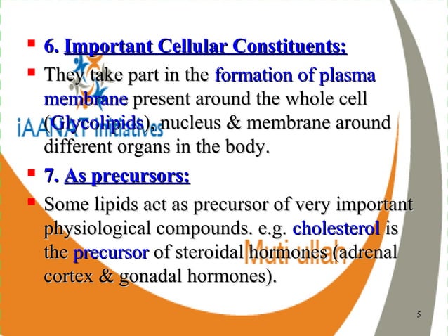 Lipids importance | PPT | Skin and Dermatology | Diseases and Conditions