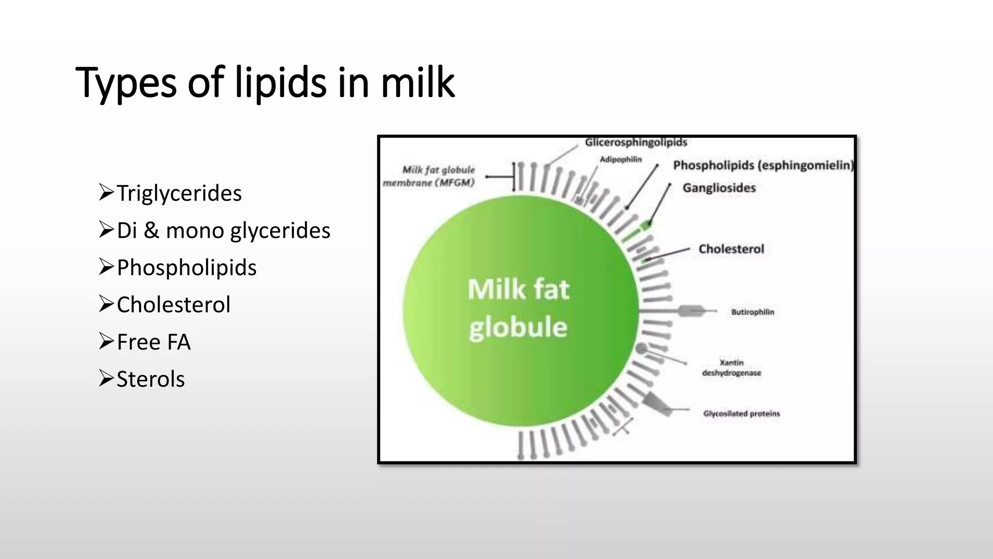 Lipids in milk.pptx
