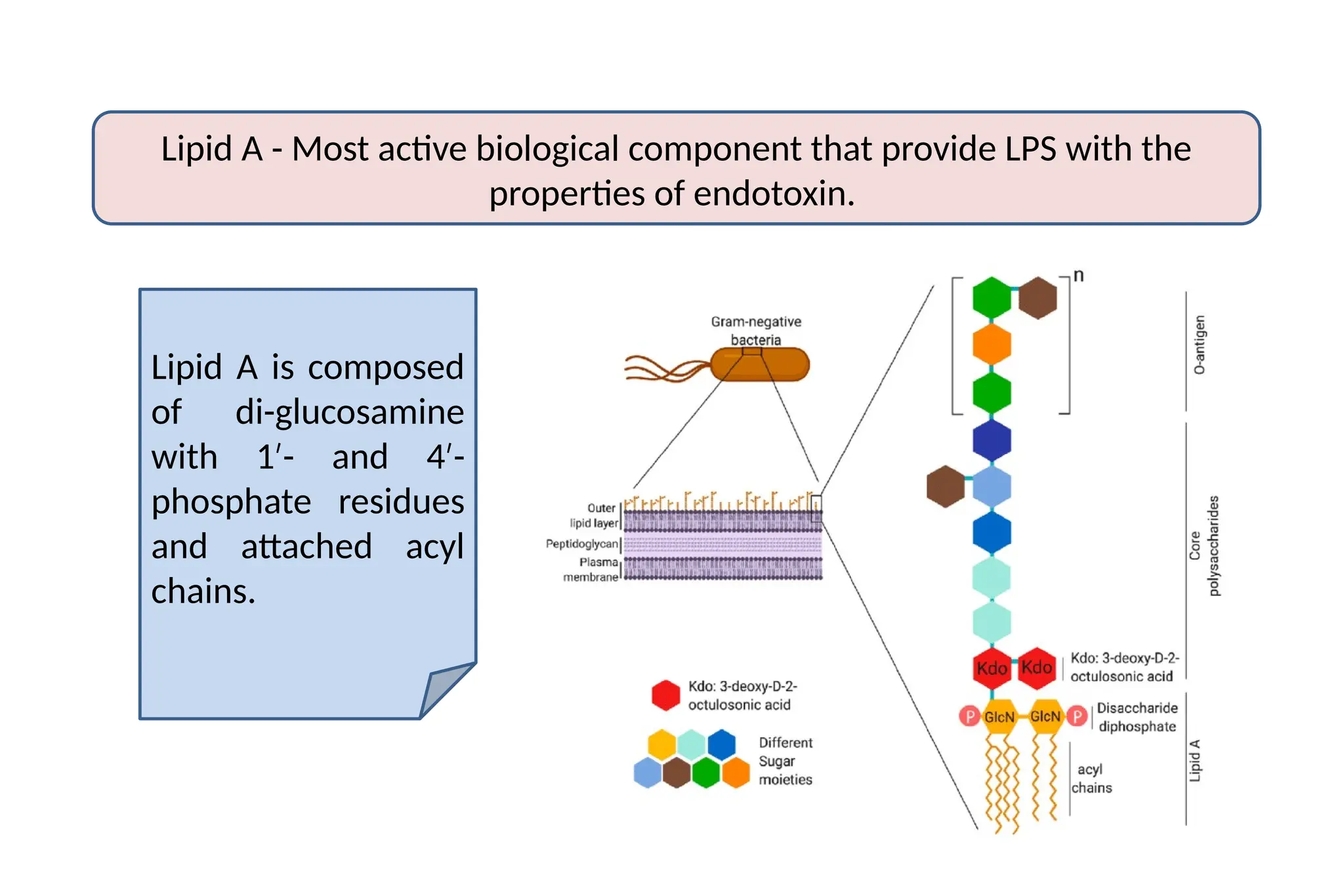 Lipids in periodontal diseases in dentistry | PPTX