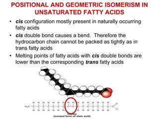 Lipids Introduction and their Nomenclature | PDF