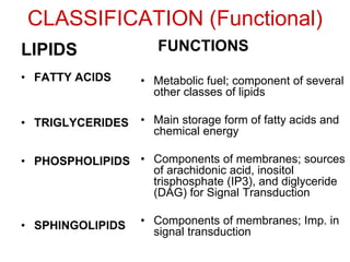 Lipids Introduction and their Nomenclature | PDF