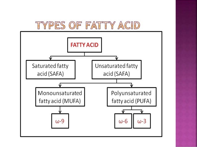 Lipids Definition Properties Structure Types Examples Functions Lipids Definition Properties Structure Types Examples Functions