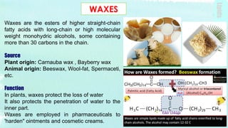 Pharmacognosy:LIPIDS_Main Lecture Notes ppt | PPTX