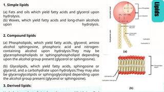 Pharmacognosy:LIPIDS_Main Lecture Notes ppt | PPTX