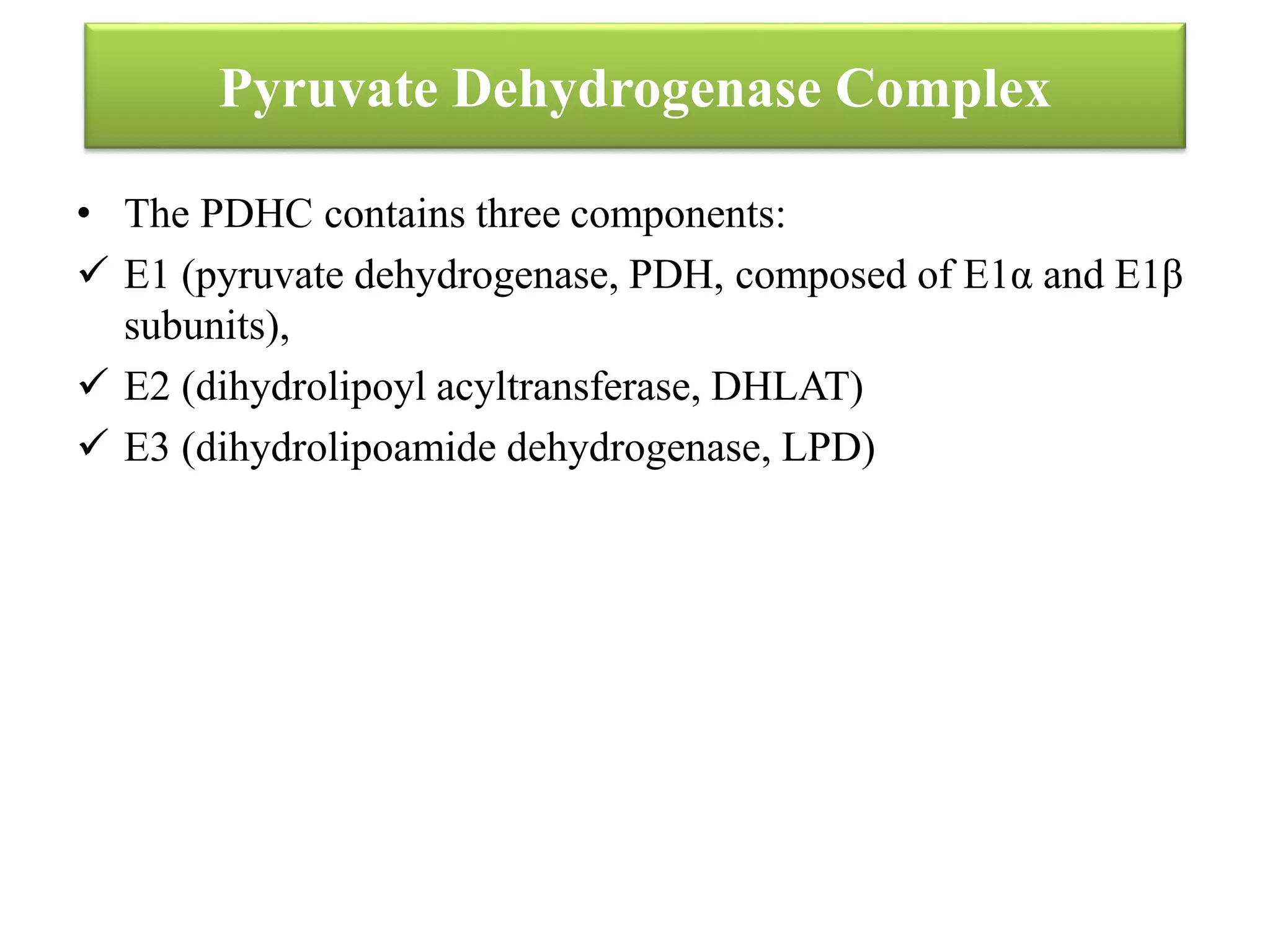 Lipids metabolism in plants | PPTX