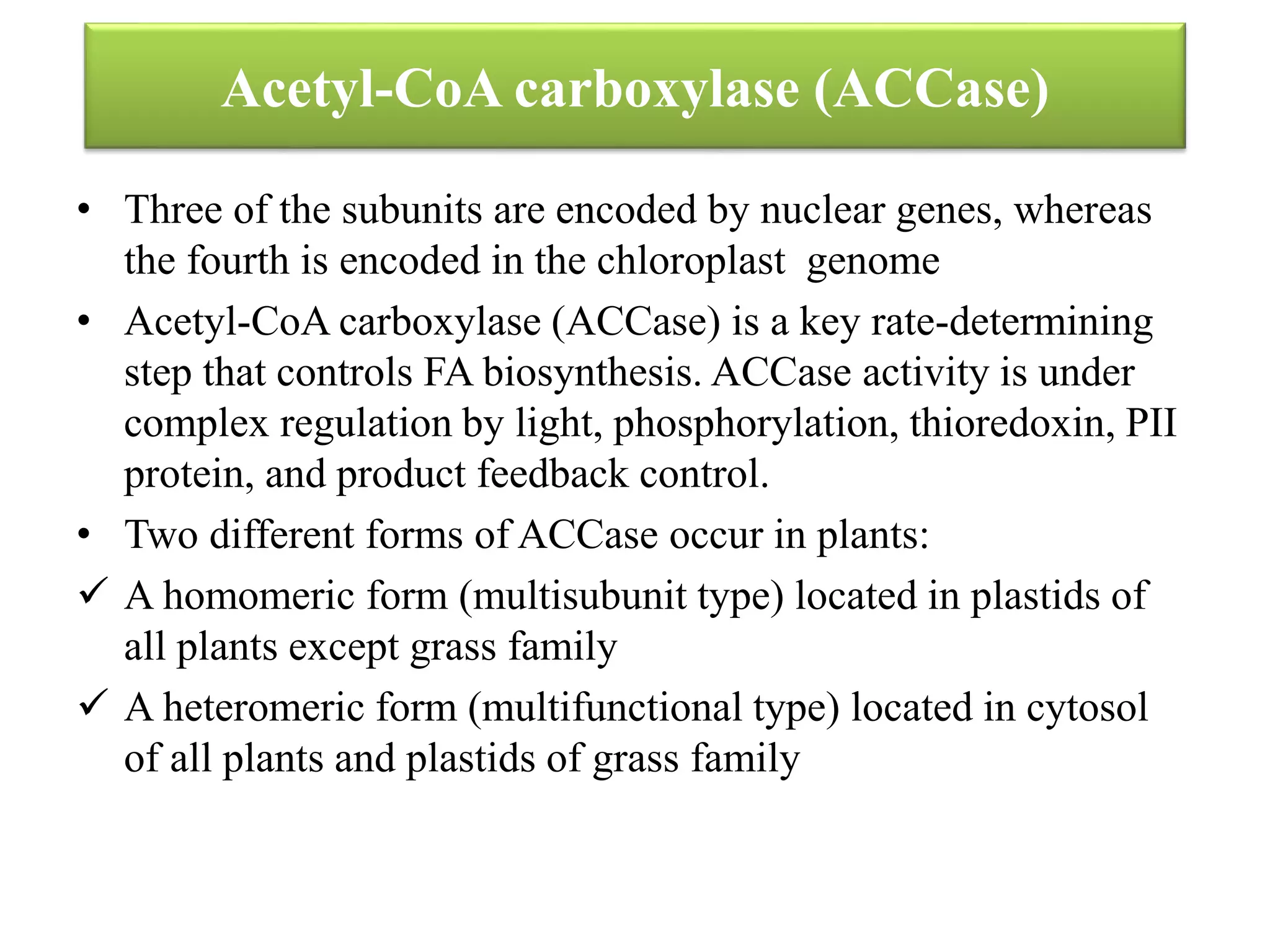 Lipids metabolism in plants | PPTX