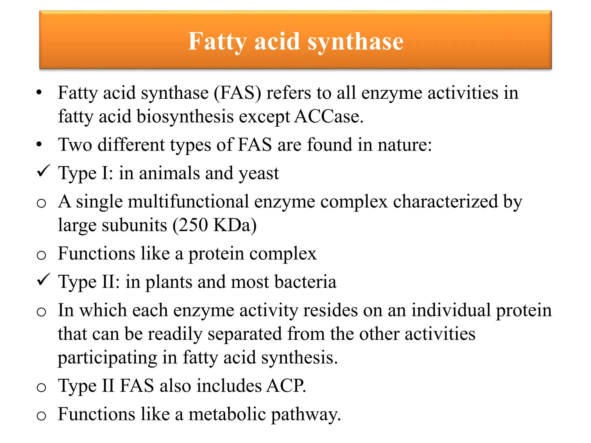 Lipids metabolism in plants | PPTX