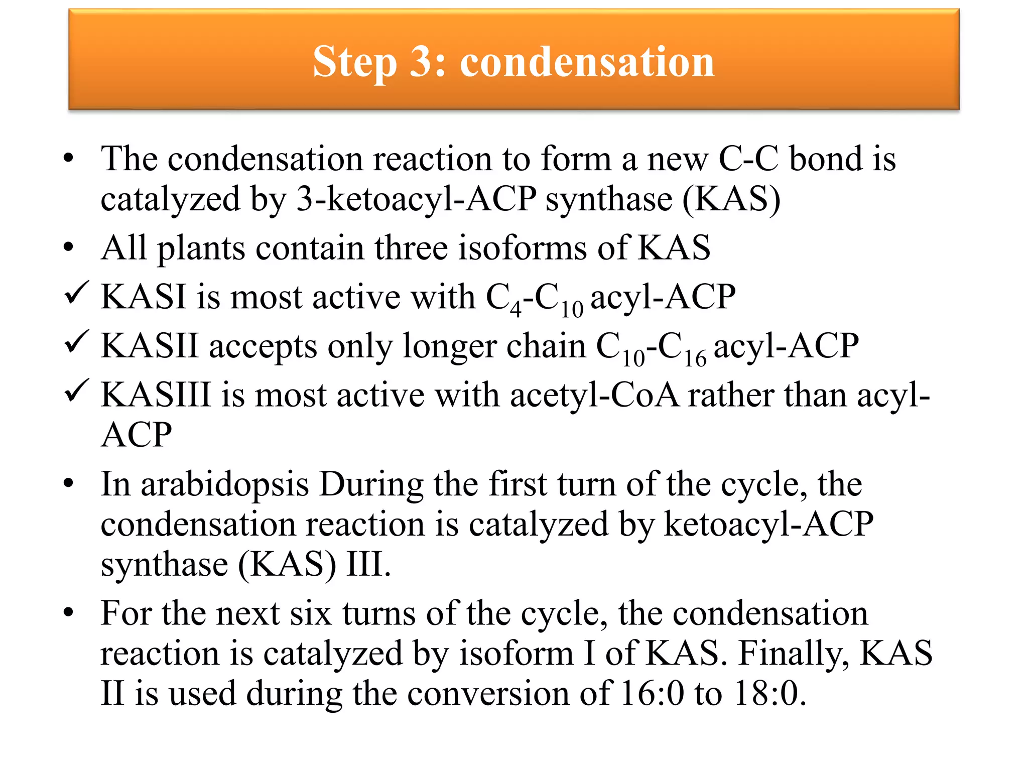 Lipids metabolism in plants | PPTX