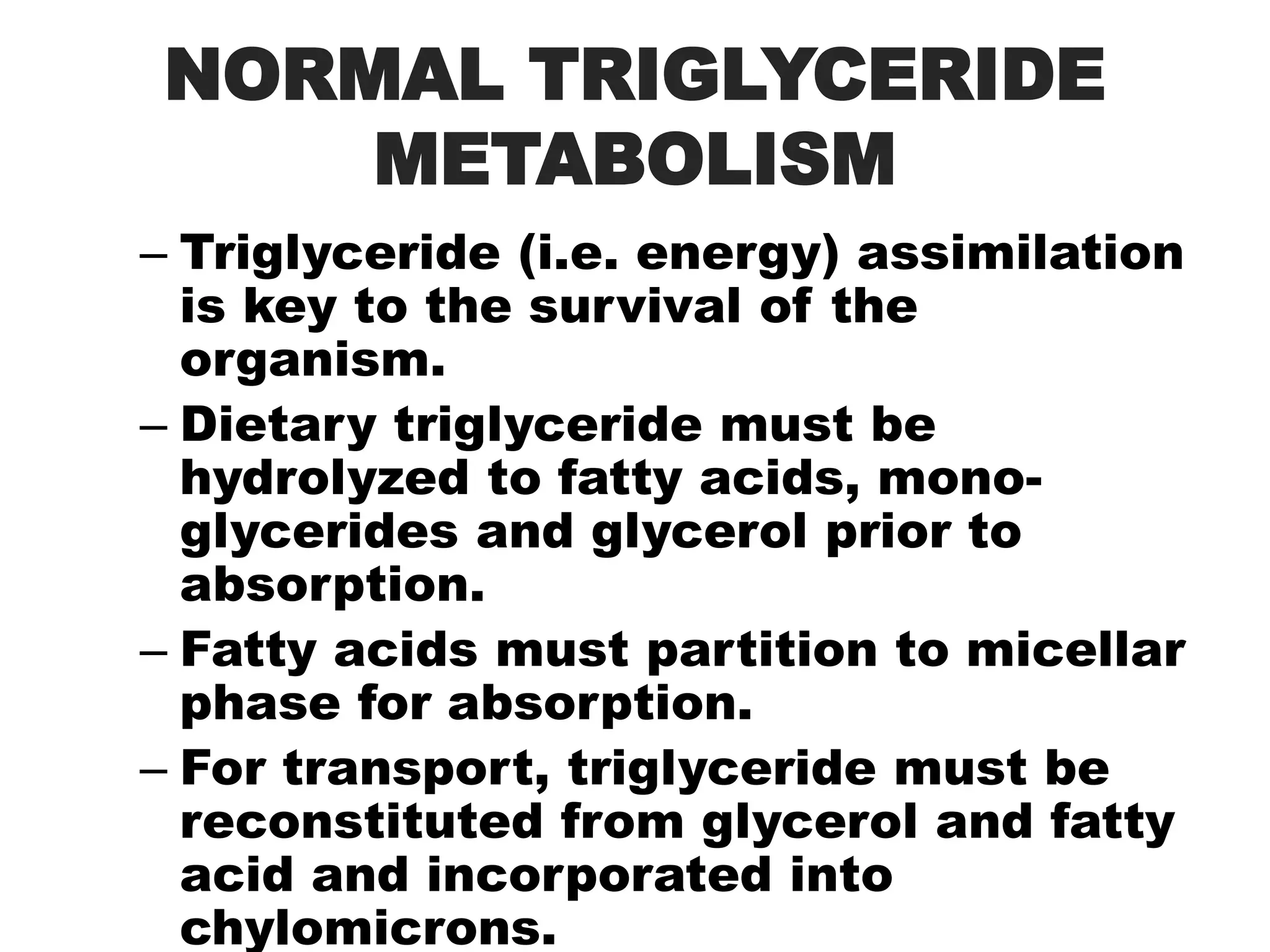 Lipids Metabolism.ppt