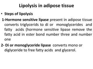 Lipids Metabolism.ppt