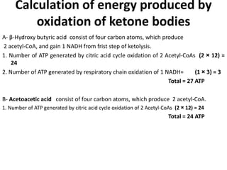 Lipids Metabolism.ppt