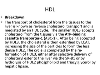 Lipids Metabolism.ppt