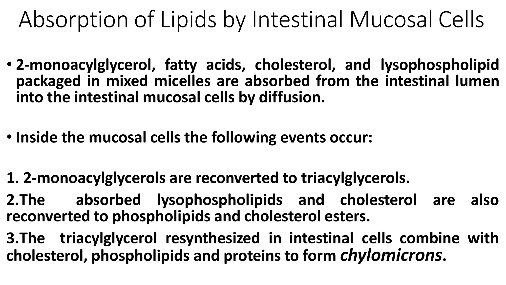 Lipids metabolism 1234665585258255 .pptx