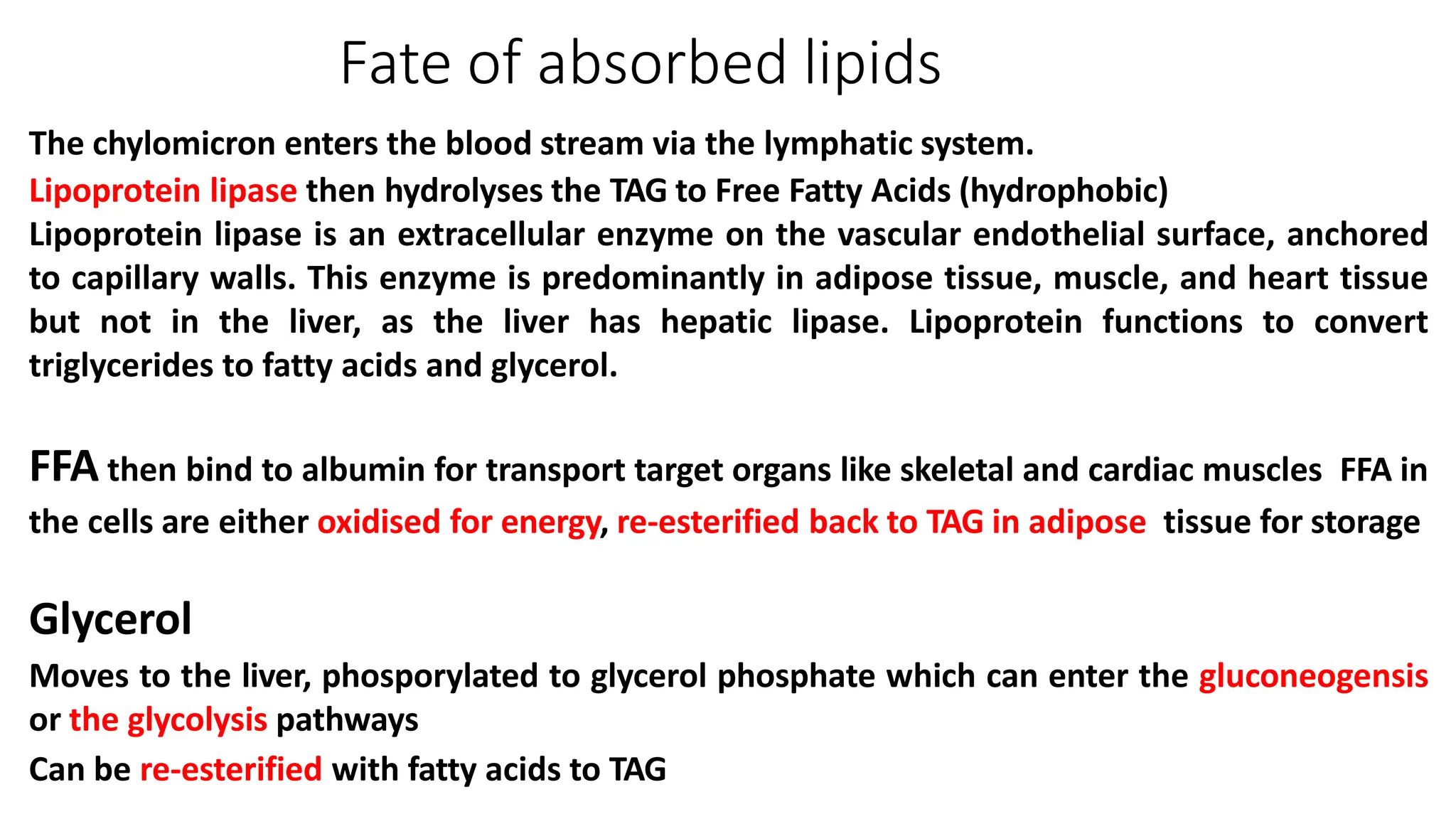 Lipids metabolism 1234665585258255 .pptx