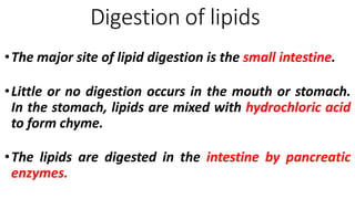 Lipids metabolism 1234665585258255 .pptx