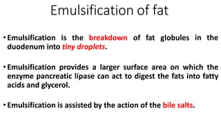Lipids metabolism 1234665585258255 .pptx