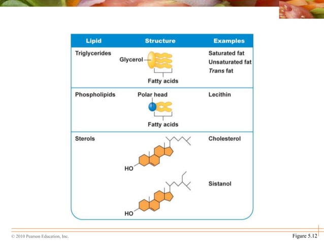 Lipids metabolism introduction | PPT
