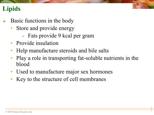 Lipids metabolism introduction | PPT