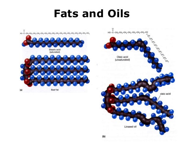 Lipids Chemistry Structure & Function