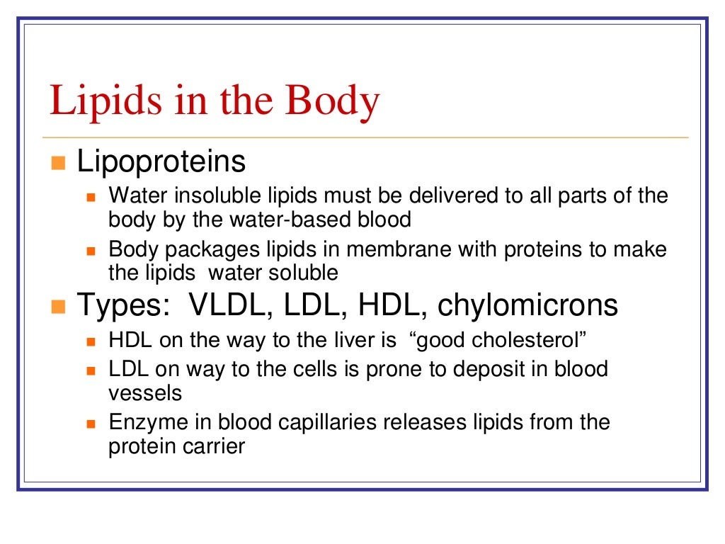 Lipids Chemistry Structure & Function