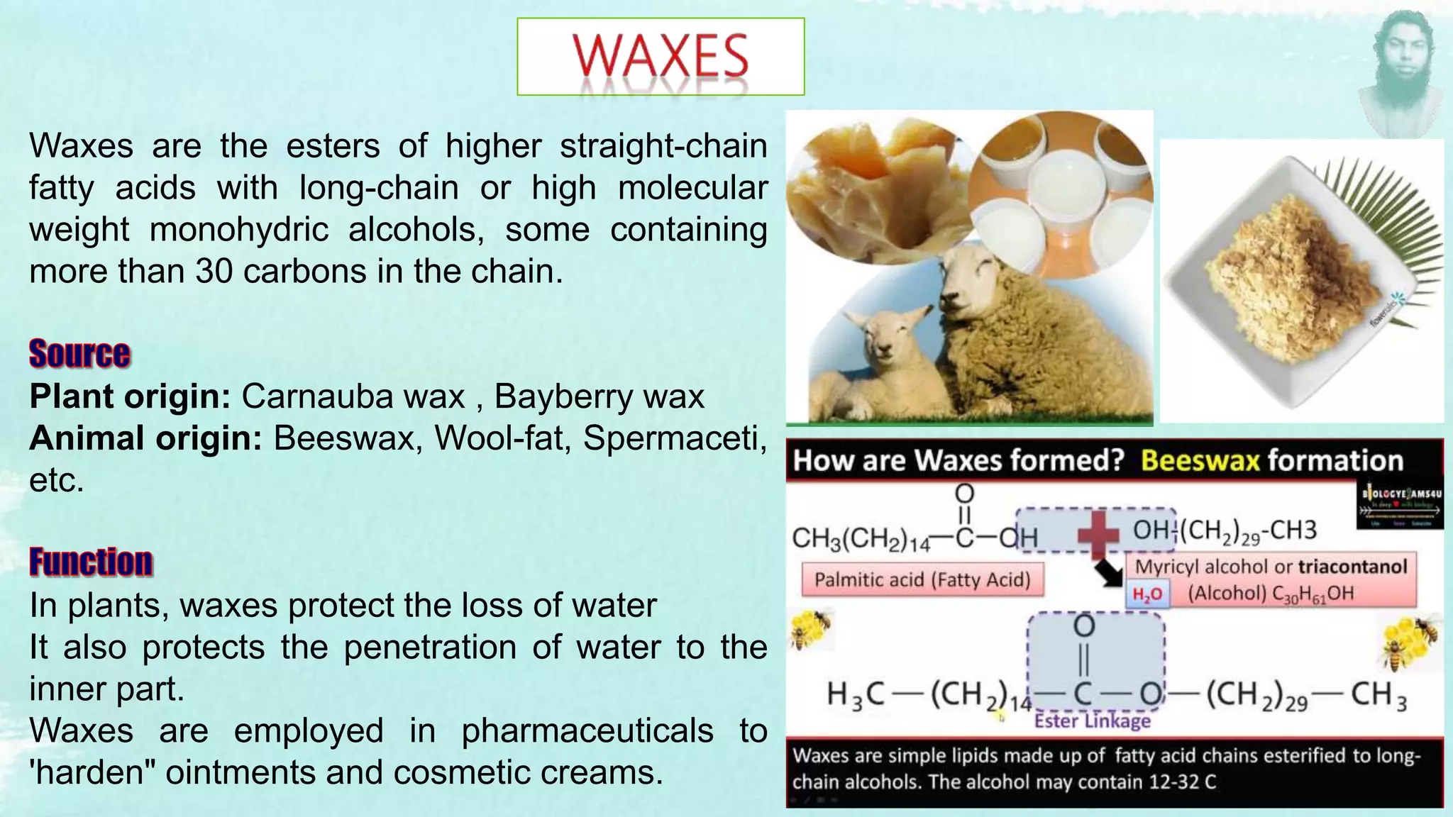 Lipids (Pharmacognosy) MANIK | PPTX