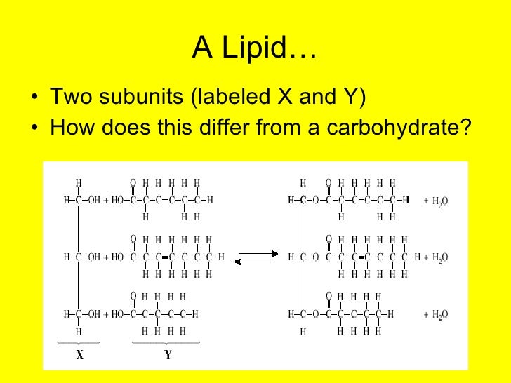 Lipids