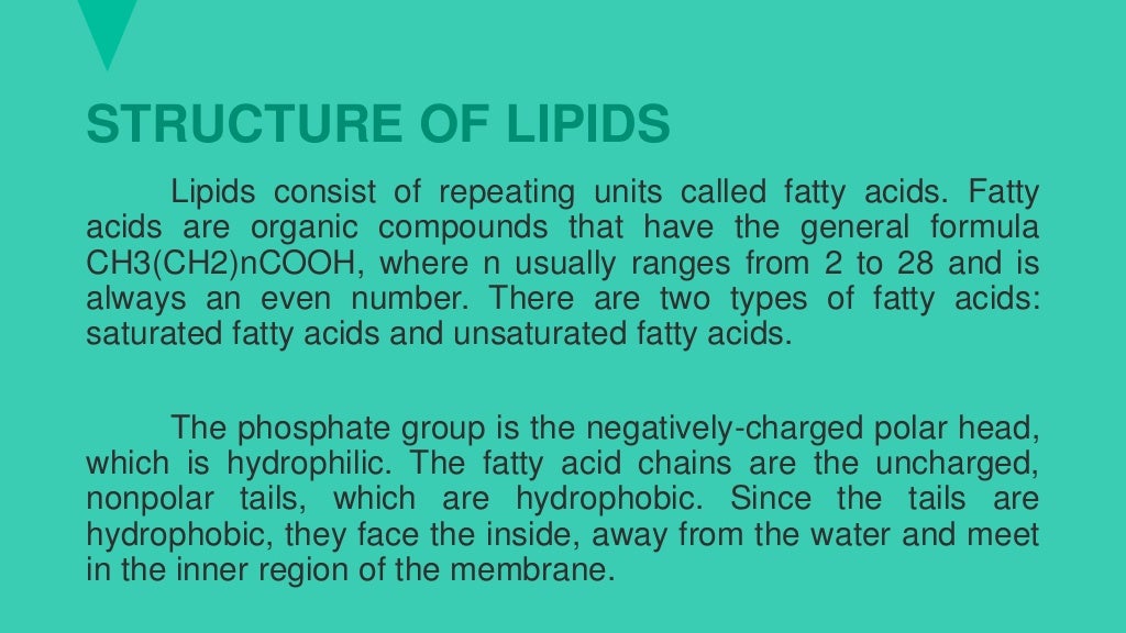 Lipids Ppt.