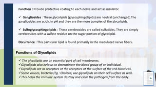 Lipids presentation Ajay and Asif | PDF