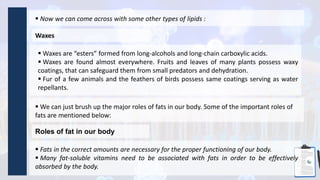 Lipids presentation Ajay and Asif | PDF