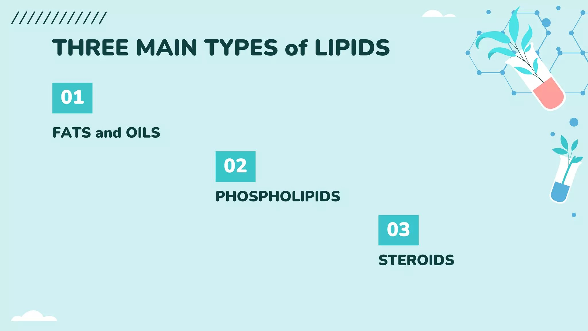 LIPIDS REPORT.pptx