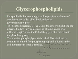 Lipids classification & their detailed identification | PPTX