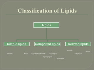 Lipids classification & their detailed identification | PPTX