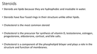 Lipids structure and functions biochemistry | PDF