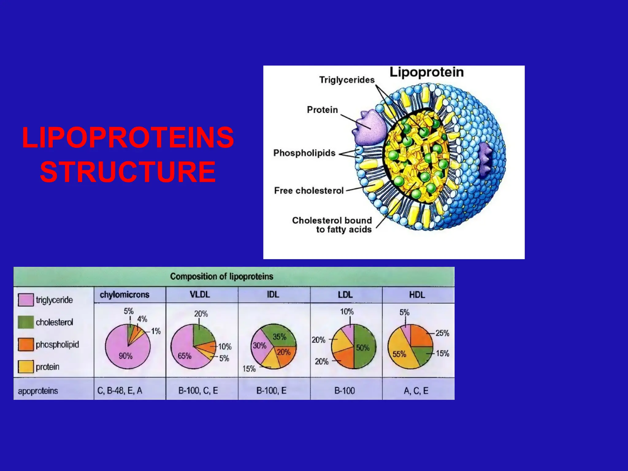Lipids_structure_classification_functions.ppt