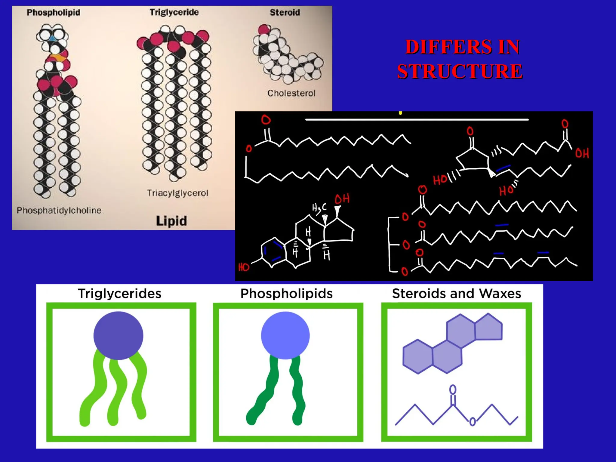 Lipids_structure_classification_functions.ppt