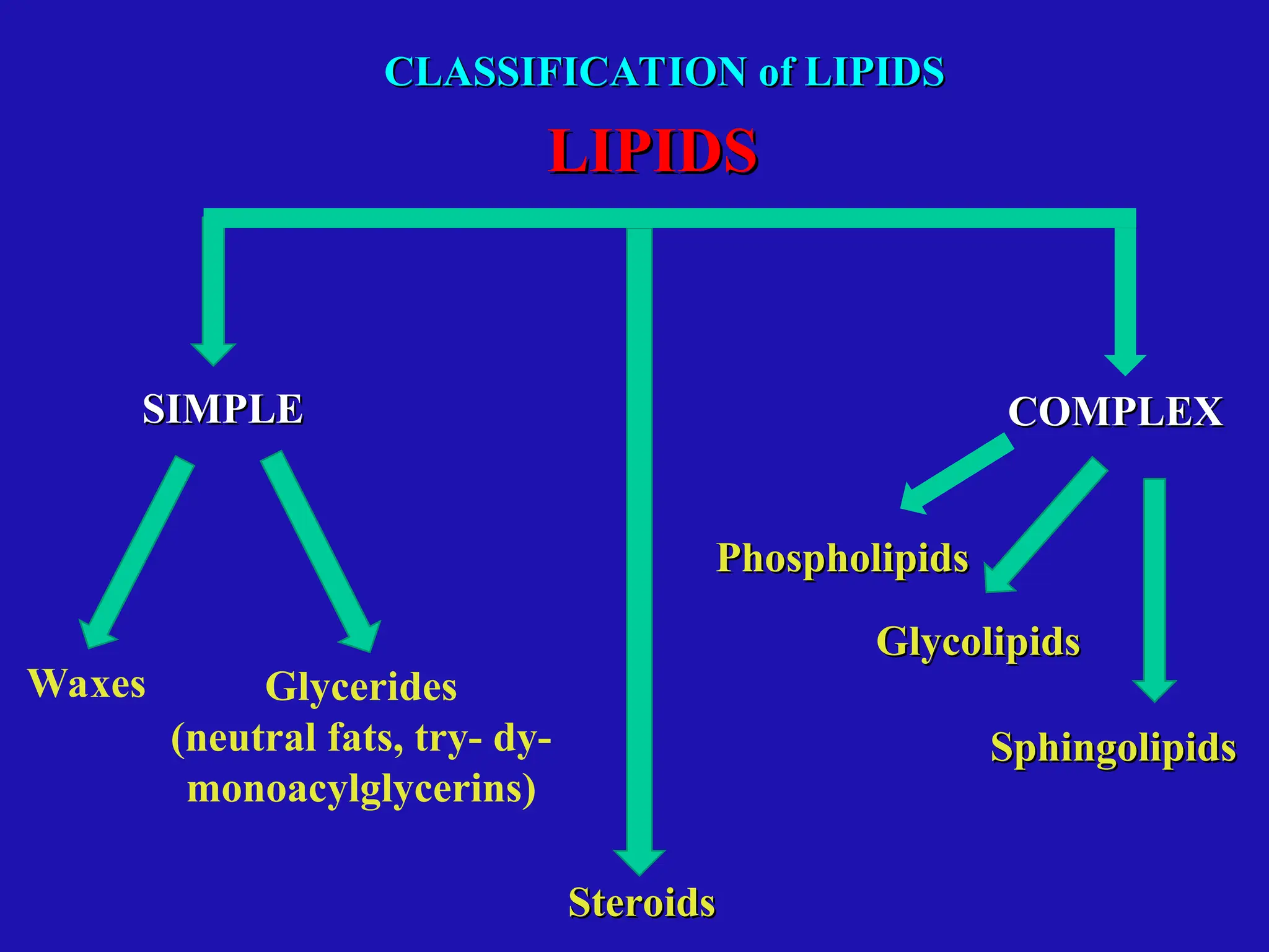 Lipids_structure_classification_functions.ppt