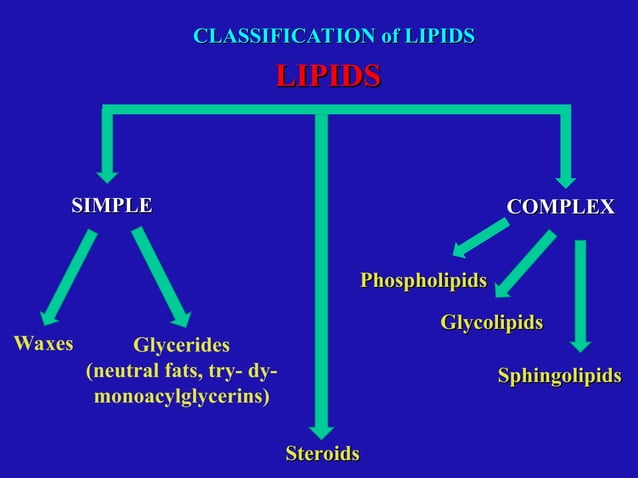 Lipids_structure_classification_functions.ppt
